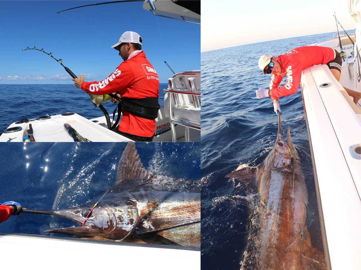 Billfish Mayhem off Fraser Island - Hervey Bay!! - Tackle World | Your ...