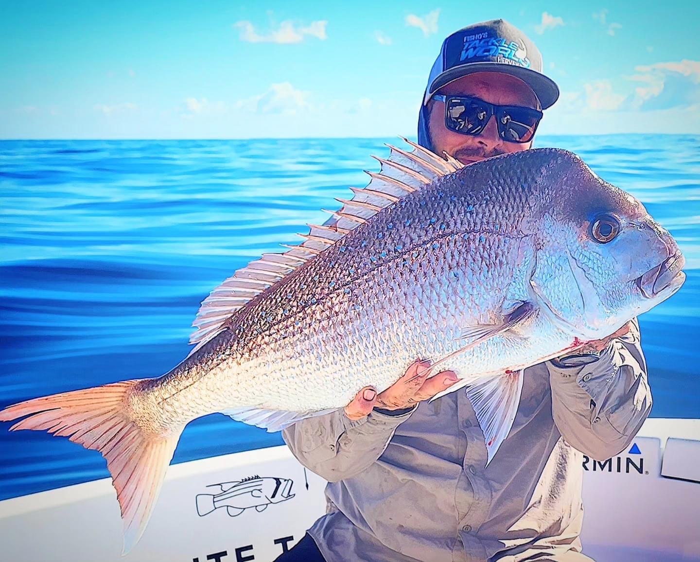 Snapper Species Guide: Where to find snapper and the gear you'll need ...